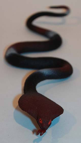 Calgary Reptile Parties